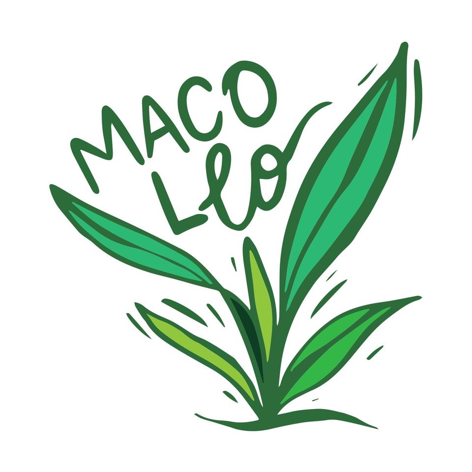 Marcas del producto | Peekaboo